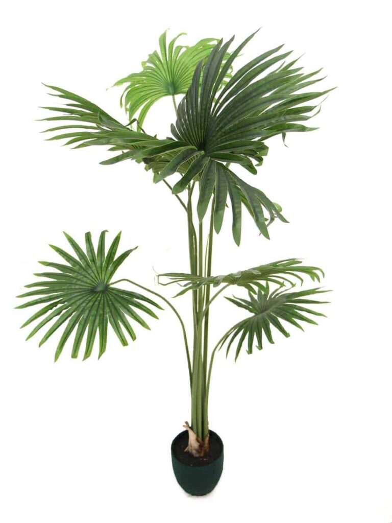 Palm Trees Hire | Event Props | EPH Creative - Event Prop Hire