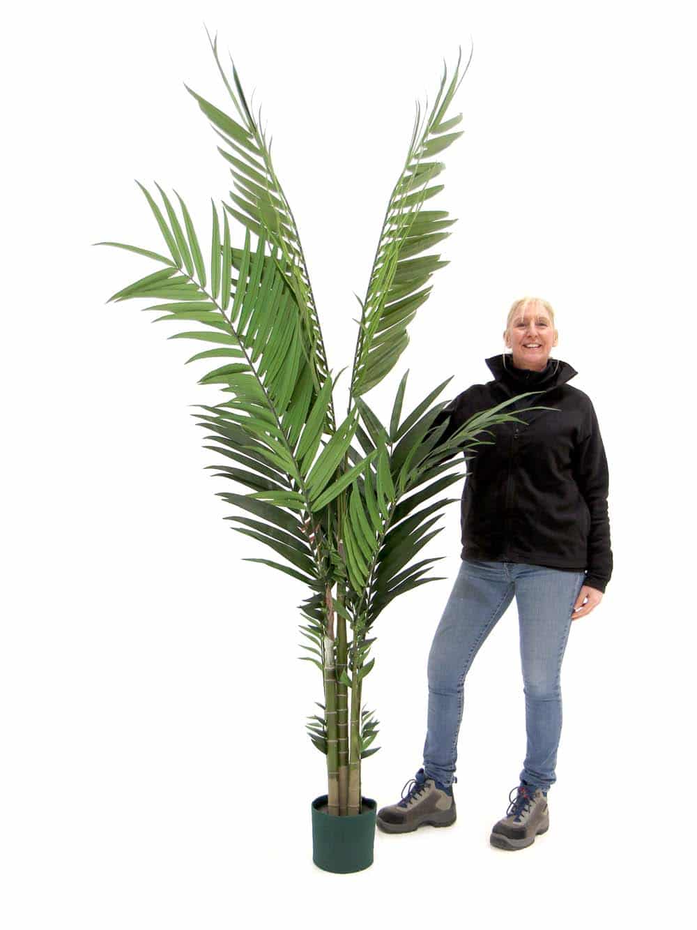 Palm Trees Hire | Event Props | EPH Creative - Event Prop Hire