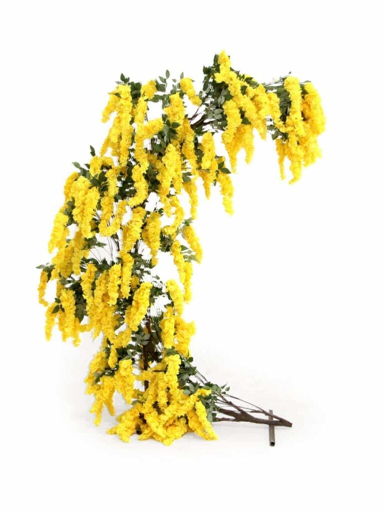 Half Moon Gate - Yellow Wisteria | EPH Creative - Event Prop Hire